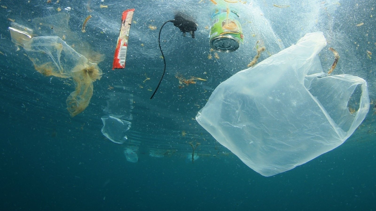 Petition · Stop Polluting the Atlantic Ocean with Plastic - United ...