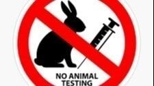 Petition · End Animal Testing Due to Its Cruel and Inhumane Nature ...