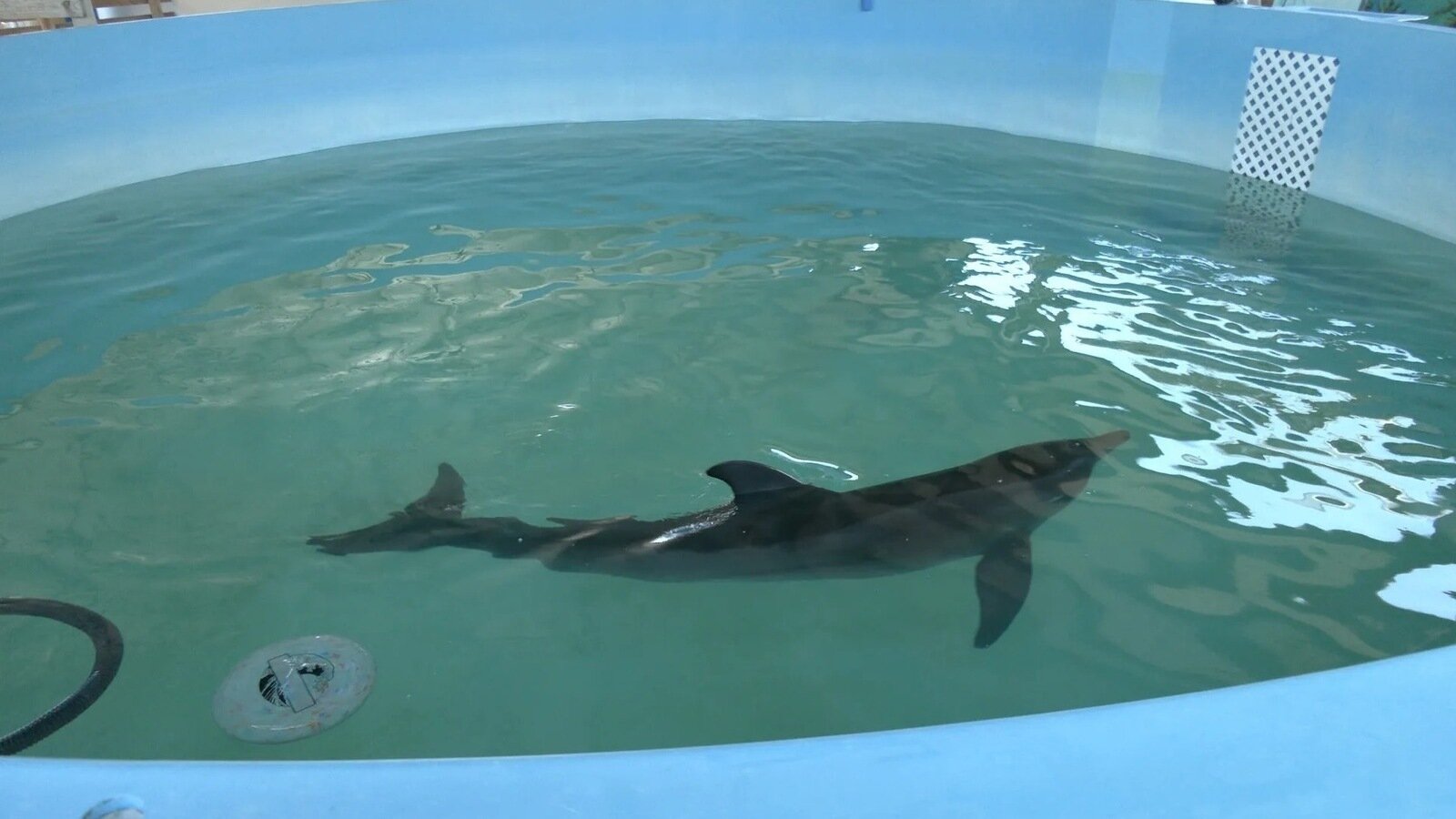 Petition · Urge the USDA to Update the Minimum Tank Size Regulation for ...