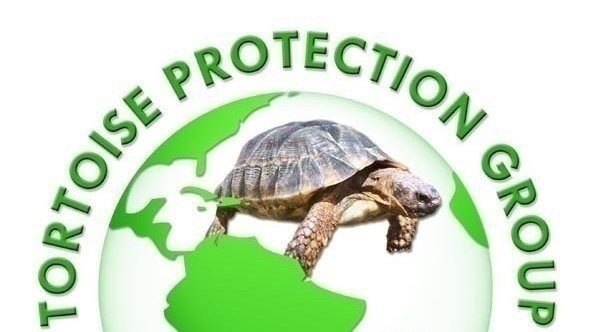 Petition · Stop sales of illegal tortoises - United Kingdom · Change.org