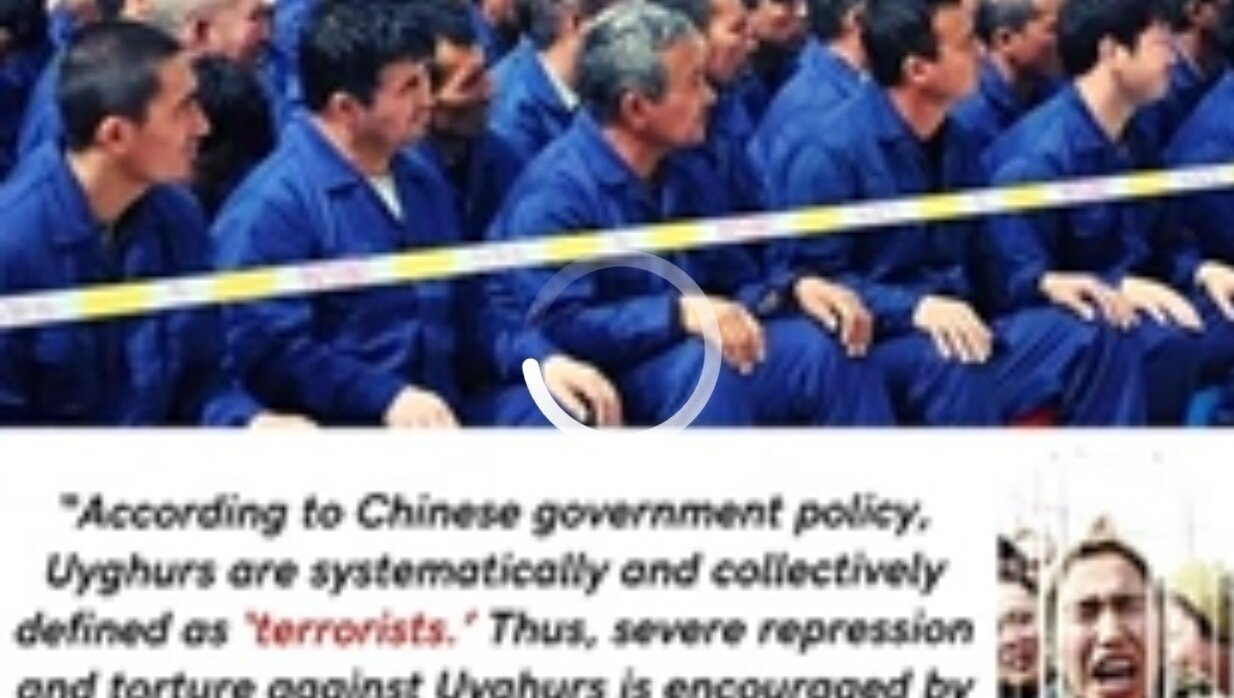 Petition · Unterstützung für Uiguren gegen Genozid und Ausbeutung ...