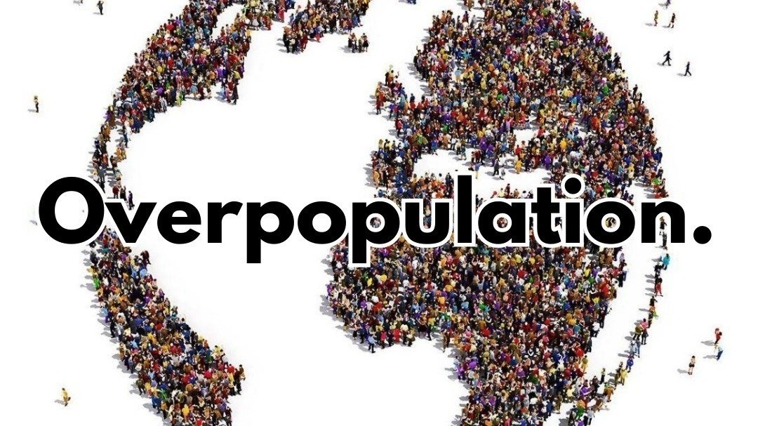 Petition · Stop Overpopulation Through Safe Sex Practices - United ...