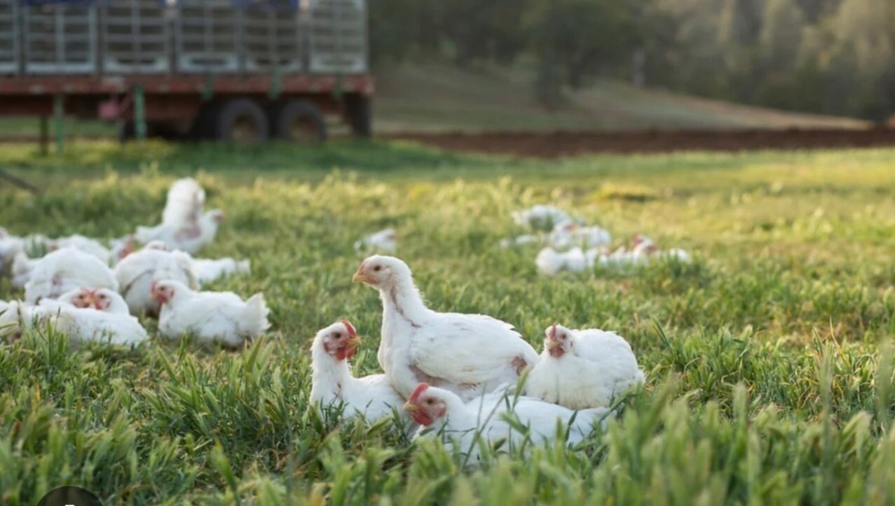 Petition · Support Humane Treatment of Animals Raised for Food ...