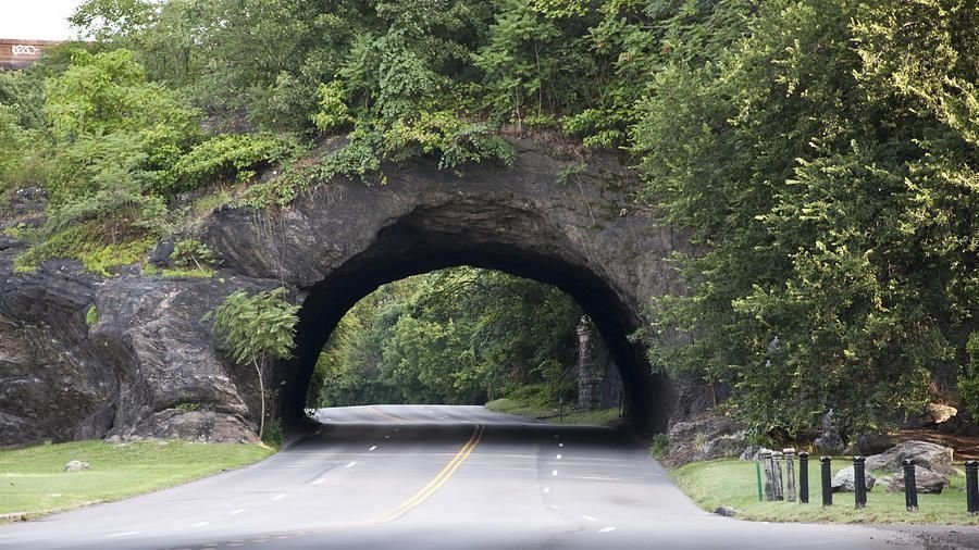 Petition · Add Speed Bumps, Stop Signs, or Lights to Kelly Drive in ...