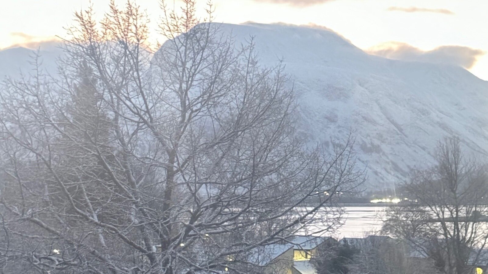 Petition update · Signing Petition · Change.org · Change.org