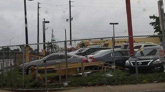 Petition · Auto Club of Maimi DOES NOT care about animals - United ...