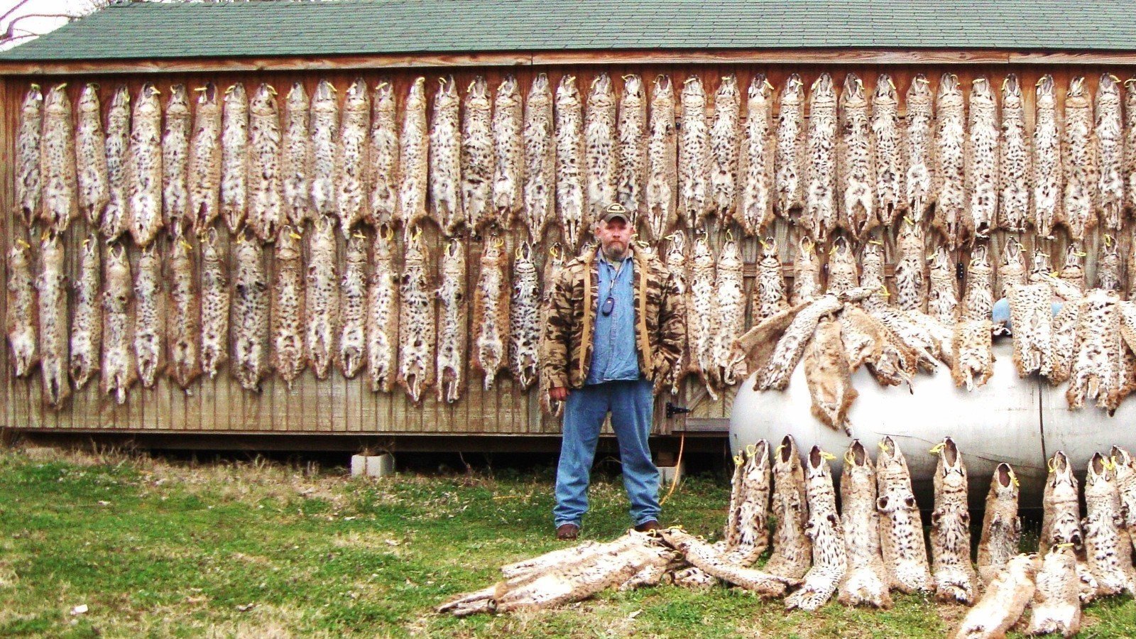 Petition · Wildlife Services: Eliminate Predator "Control" - United ...