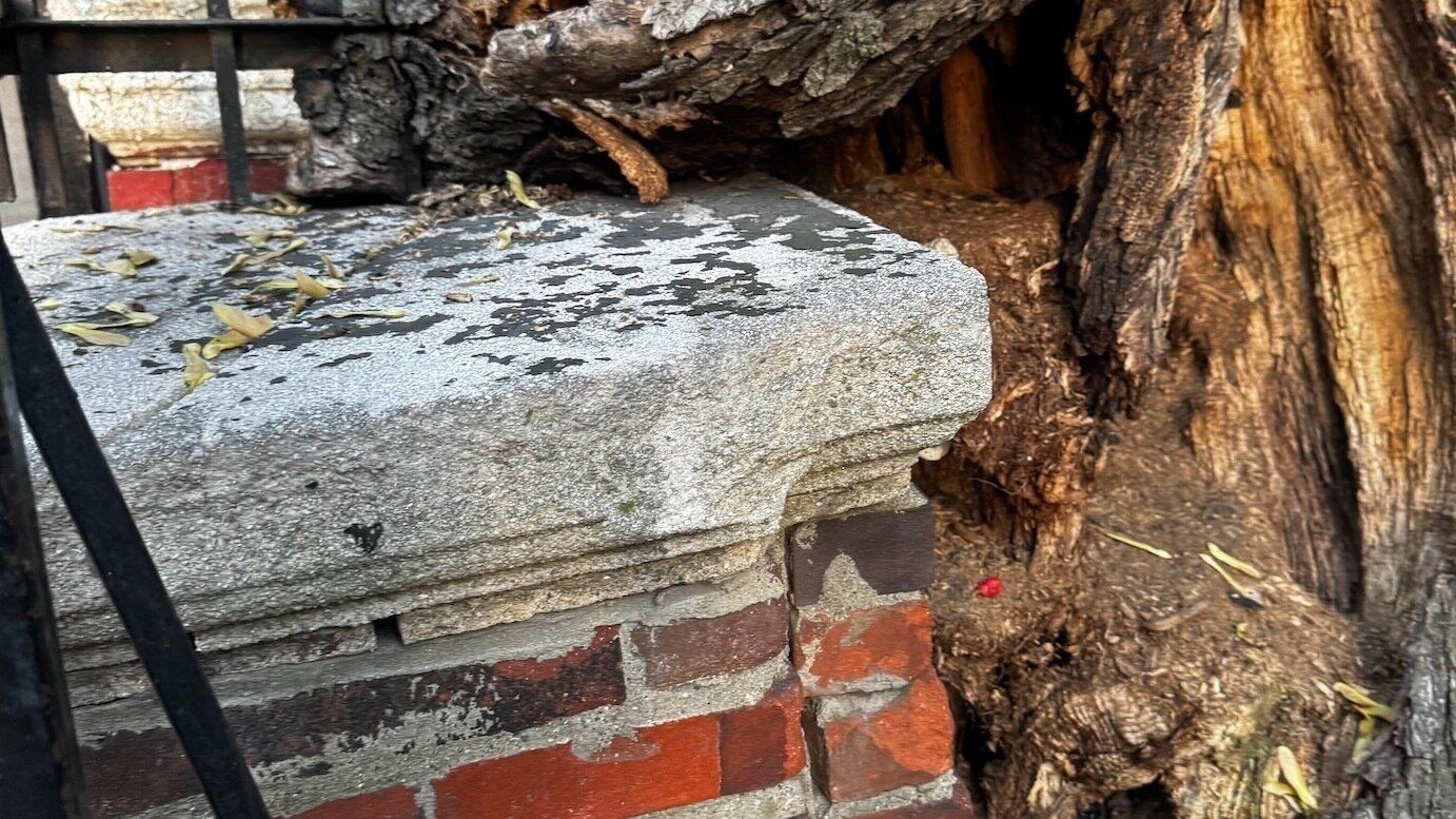 Petition · REMOVE DANGEROUS TREE @50 Lenox! - United States · Change.org