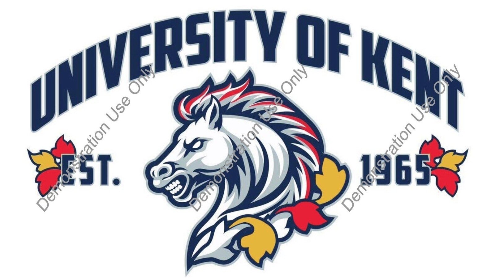 Petition · Kent Union Sports Team - United States · Change.org