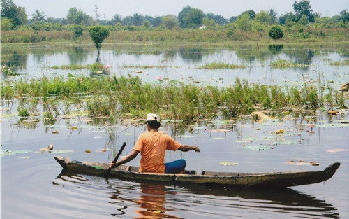 Petisi · Selamatkan Lahan Rawa di Palembang - Indonesia · Change.org