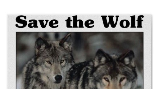 Petition · Save The wolves - United States · Change.org