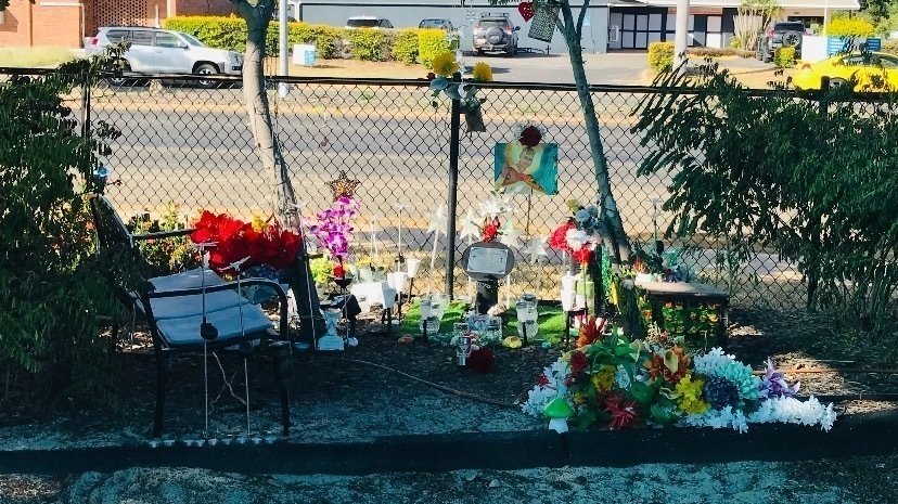 Petition · Stop the Central Highlands council from removing Jayden ...