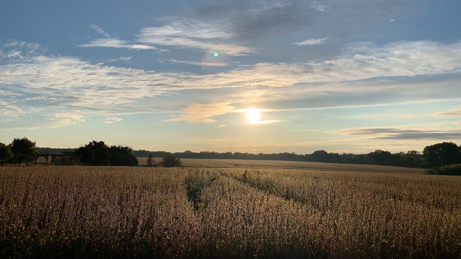 Petition · Uphold Current Setback Rules for Solar Farms in Champaign ...