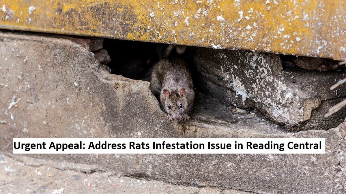 Petition · Address The Growing Rat-Infestation Issue In Central Reading ...