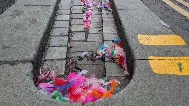 Petition · Ban Feather Boas at Events, Keep Cardiff Tidy! - United ...