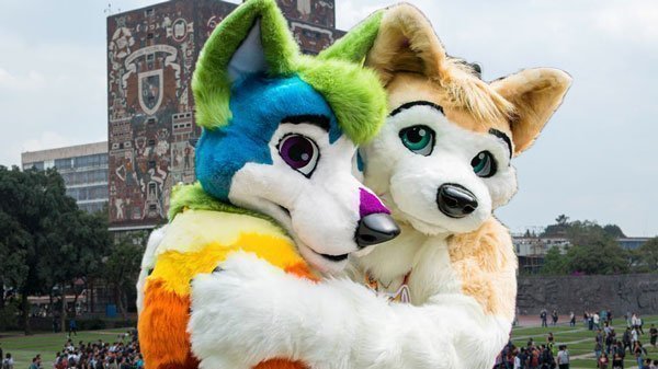 Petición · Que x.videos deje de poner anuncios de furros al inicio de ...