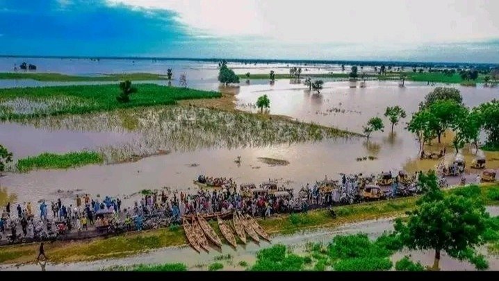 Petition · Stop draining Tiga dam during rainy season to end River ...