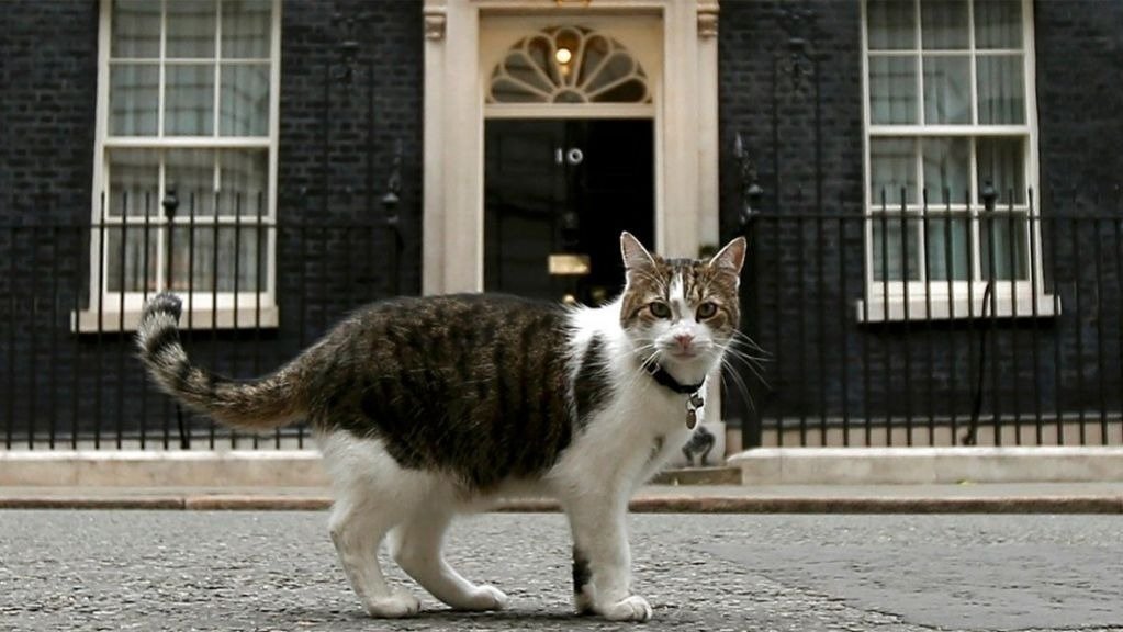 Petition · Make Larry the cat prime minister of the UK - Canada ...