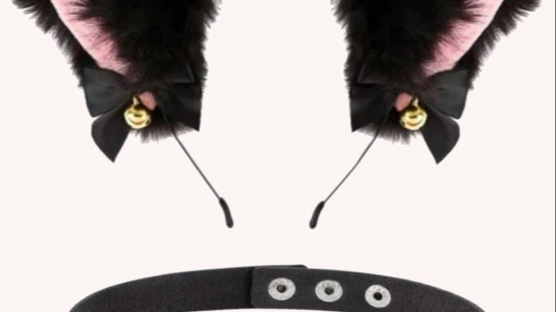 Petition · Senne Cat femboy moments - Netherlands · Change.org