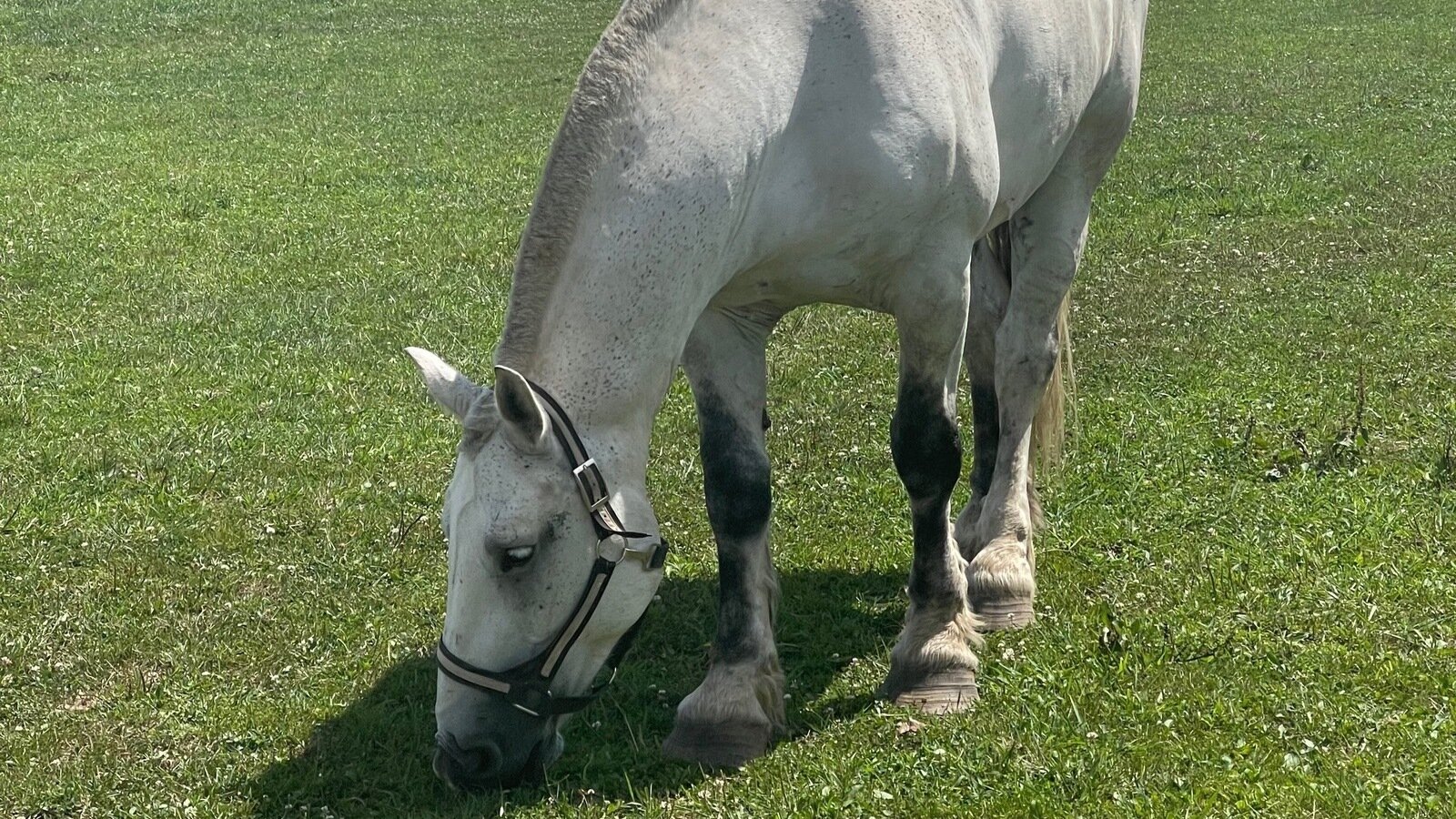 Petition · Save The Eugene and Dorothy Kavanagh Wildlife Farm ...