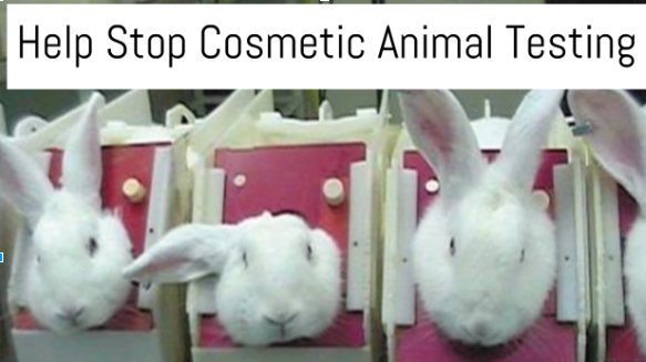 Petition · Help to Ban Animal Testing for Cosmetics - Canada · Change.org