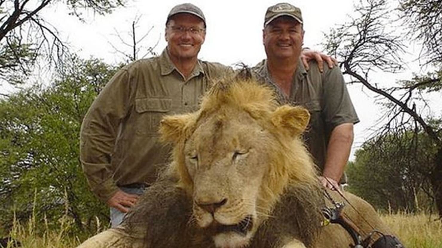 Petition · Ban the Trophy Hunting and Imports of Endangered Species of ...