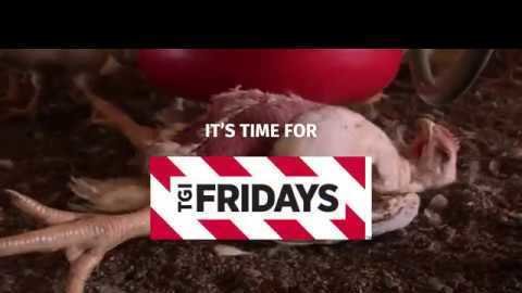 Petition · TGI Fridays: Stop Abusing Chickens - United States · Change.org