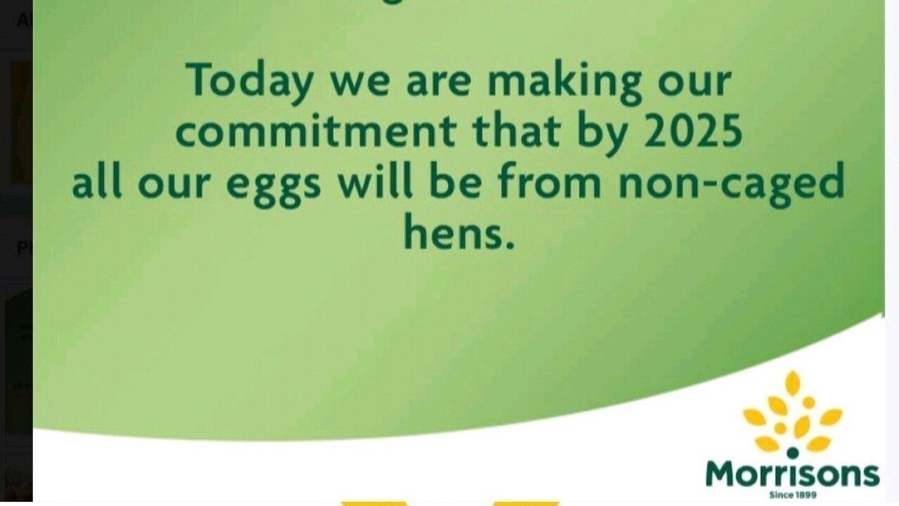 Petition update · MORRISONS TO GO CAGE-FREE! · Change.org · Change.org