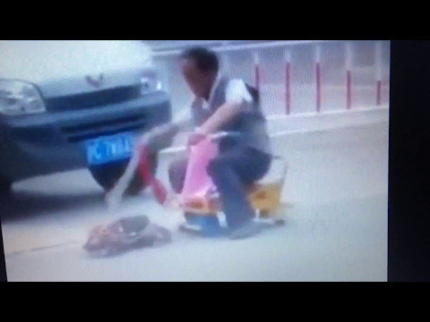 Petition · Stop Dog-Rickshaw Cruelty in China NOW! Little dogs forced ...