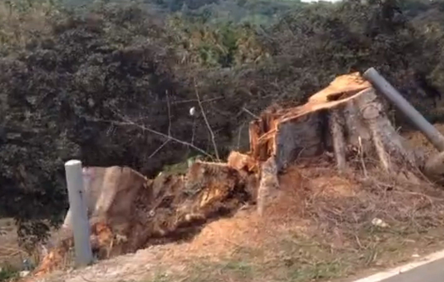 Petition update · Interaksyon News Article · Change.org · Change.org