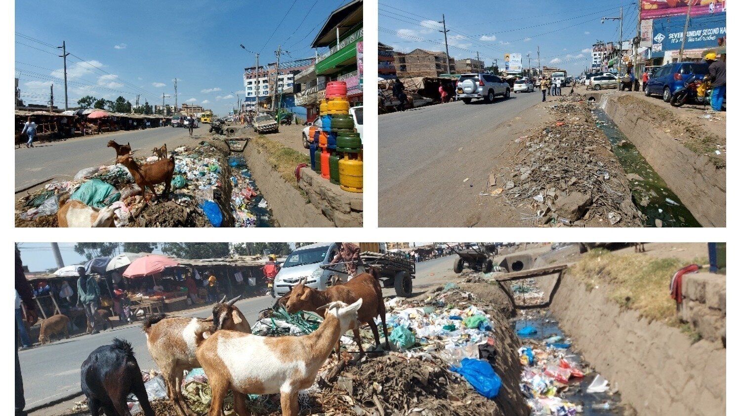 Petition · Protect Our Environment. Clean Up Ongata Rongai and Kware ...