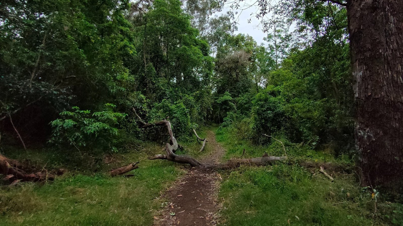 Petition · Provide bins in Burrows Park - Australia · Change.org