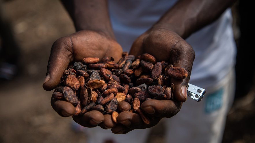 Petition · Stop forced child labor in the production of chocolate ...