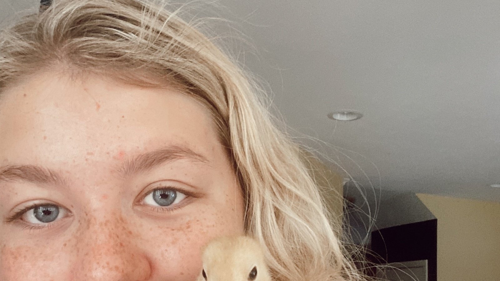 Petition · Emma to own a baby duck - United States · Change.org
