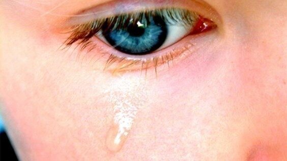 Petition · Parents Demand Reform of DCF - United States · Change.org