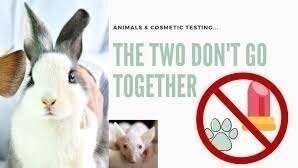 Petition · End Animal Testing to Prevent Cruelty and Extinction ...