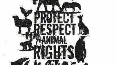 Petition · Animal Rights and Welfare - Philippines · Change.org