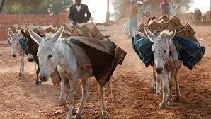 Petition · Stop the Inhumane Use and Exploitation of Animals for Labor ...