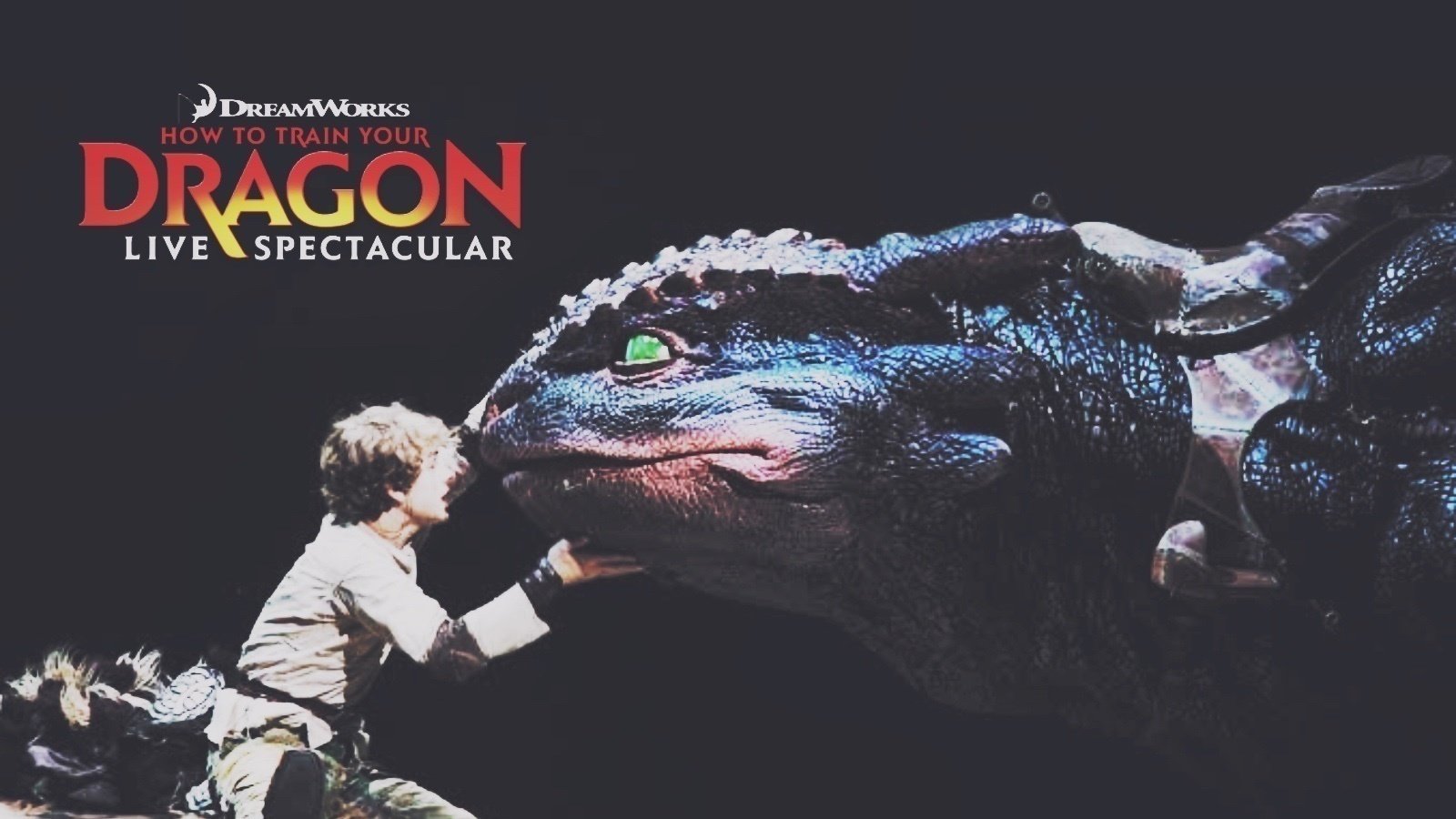 Petition · Bring Back How To Train Your Dragon Live Spectacular ...