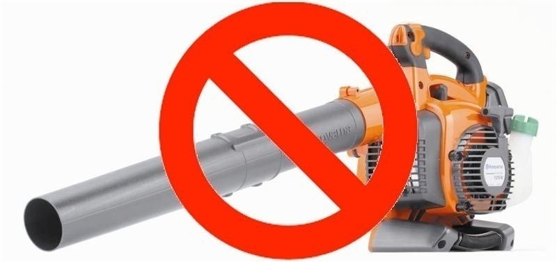 Petition · Ban the use of all leaf blowers in Toronto - Canada · Change.org