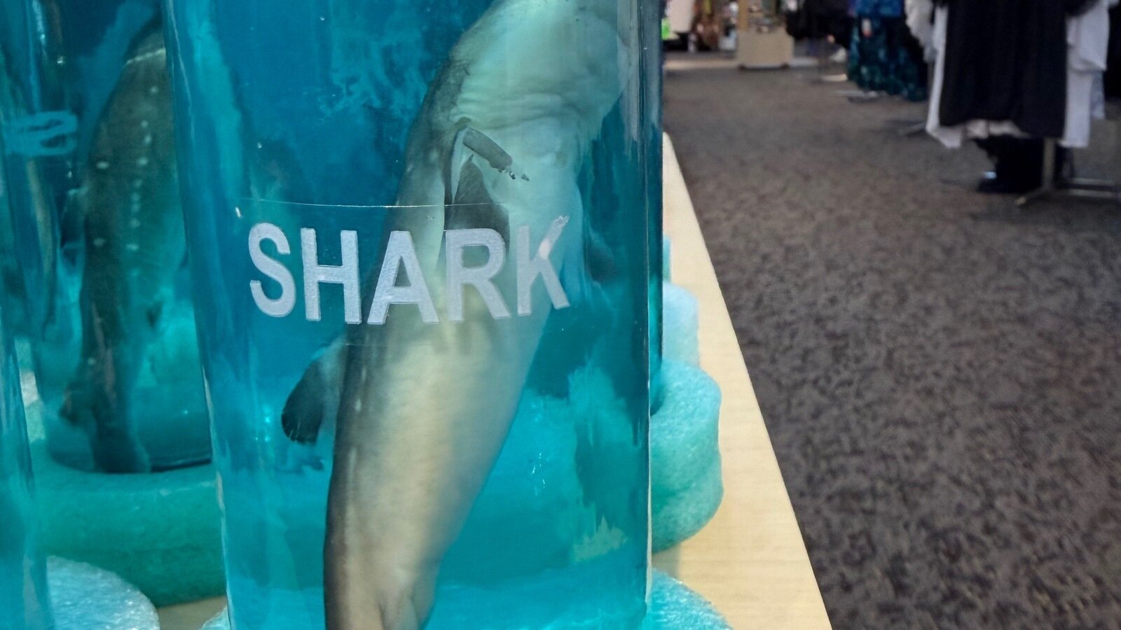 Petition · Ban Shark Jar Selling - United States · Change.org