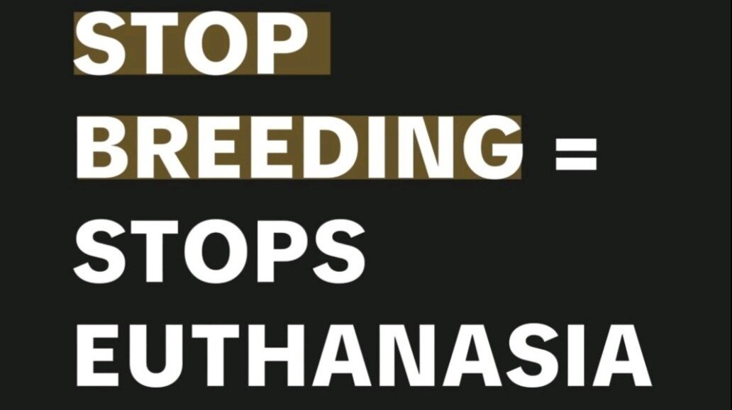 Petition · Stop breeding = Stops Euthanasia - United States · Change.org
