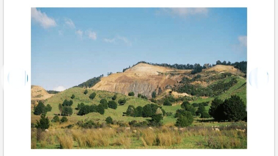 Petition · Safeguard Our Heritage at Puketona - Oromahoe, New Zealand ...
