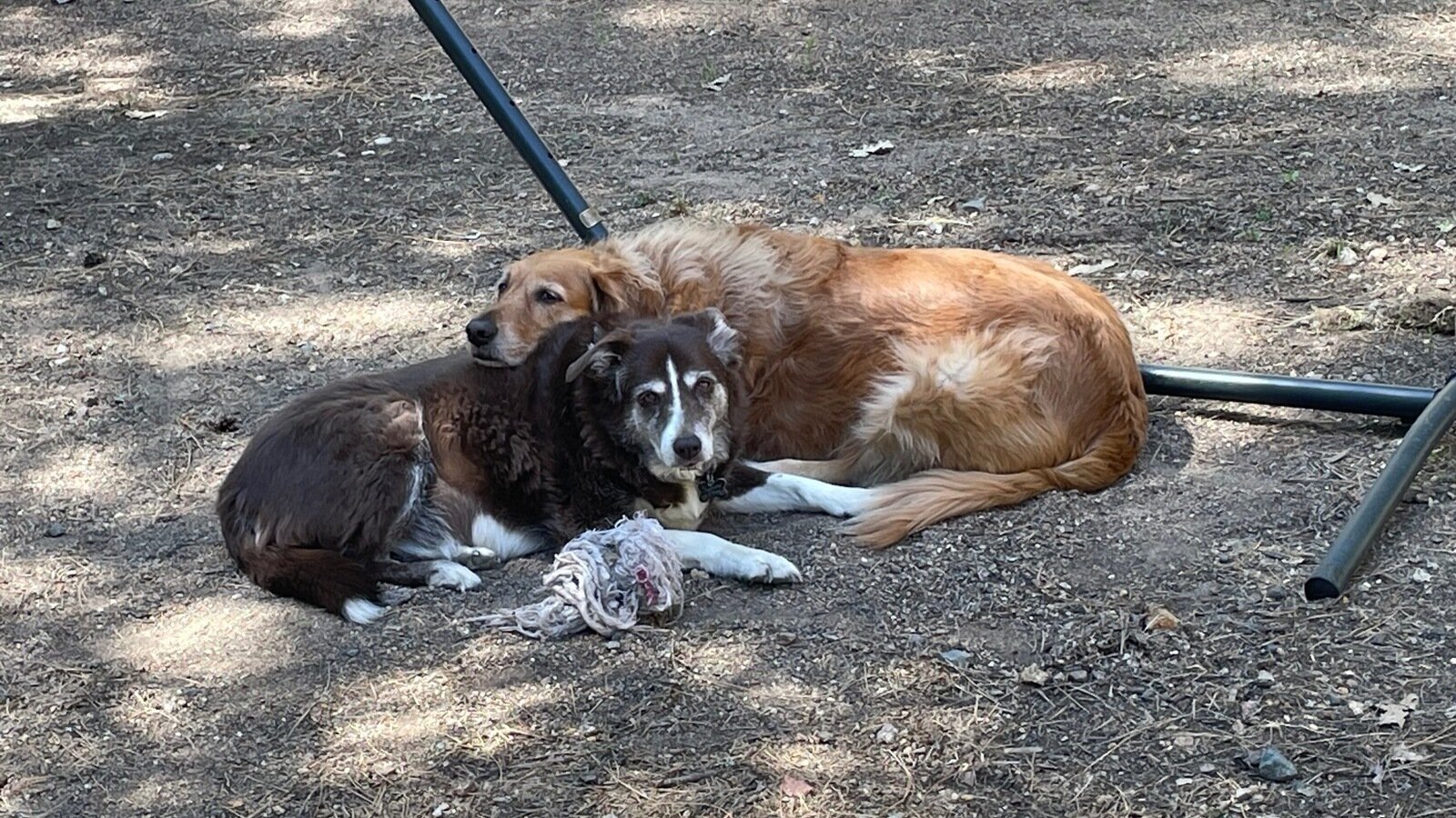 Petition · Restore Prosperity to Trinity County - United States ...