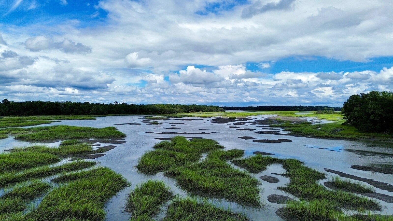 Petition update · Please continue to support the efforts of Lower Cane ...