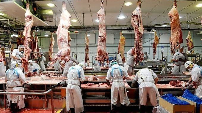 Petition · Meatworks to stop working keep them home and safe - New ...