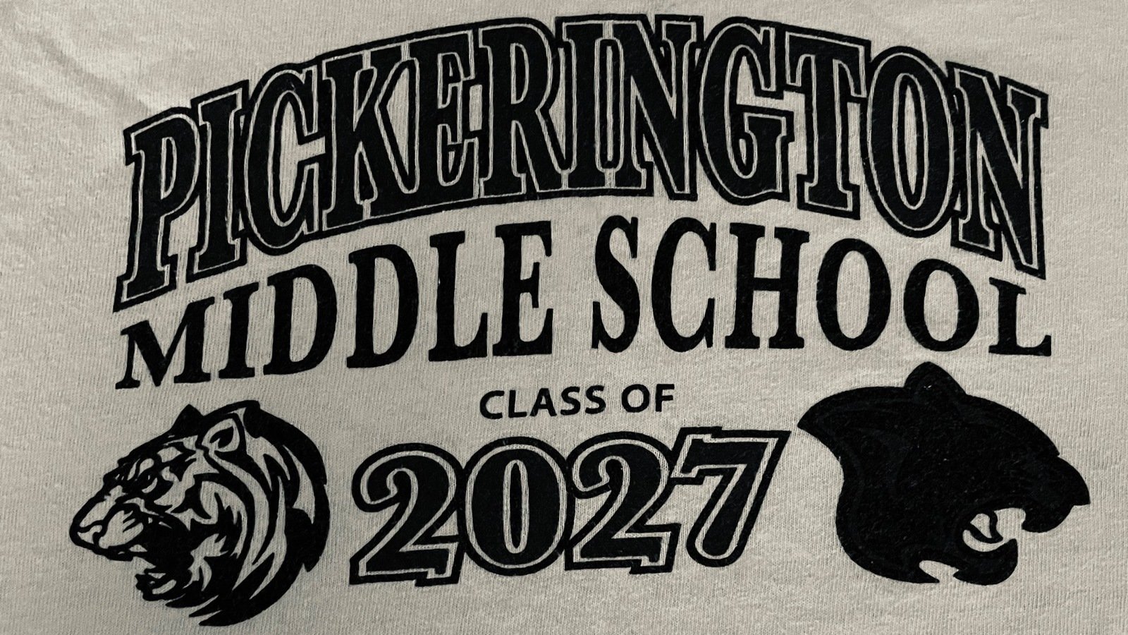 Petition · PICK US! Don’t implement in hybrid in PLSD - United States ...