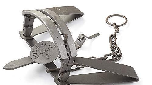 Petition · Make bear traps illegal everywhere! - United States · Change.org