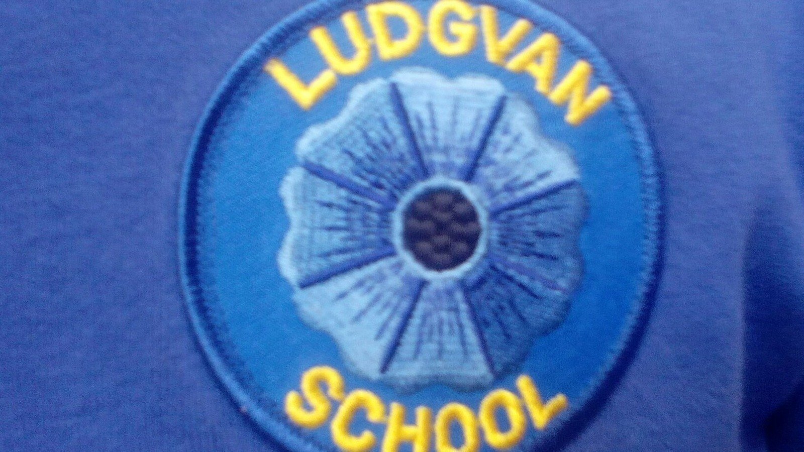 Petition · Bring back the traditional Ludgvan School emblem - The ...