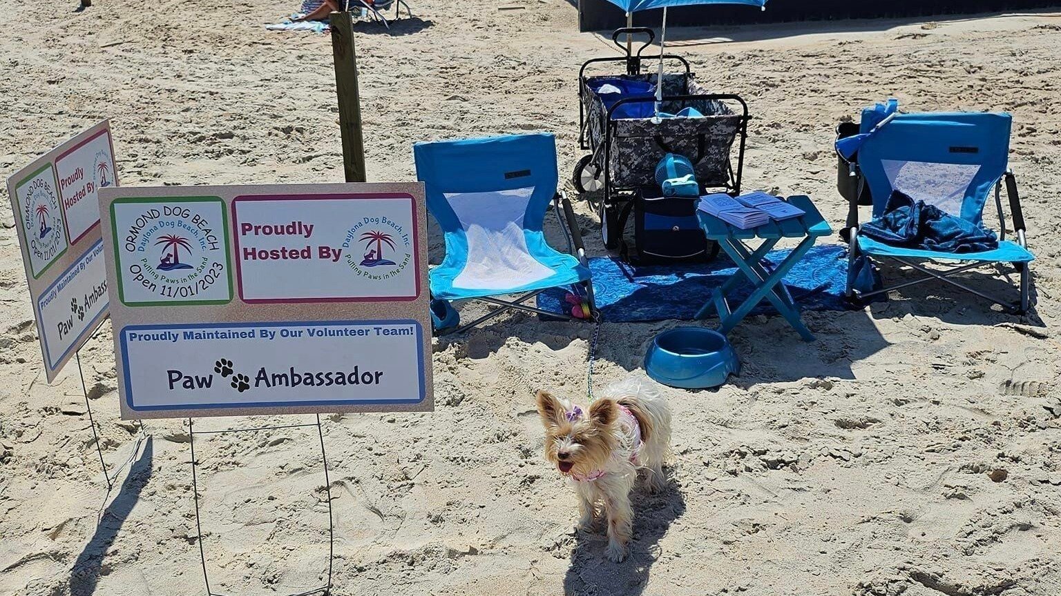 Petition · Continuation of the Dog Beach Pilot Program in Ormond Beach ...